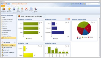 Comindware Tracker: Adaptive Business Process Management for Lean Startups