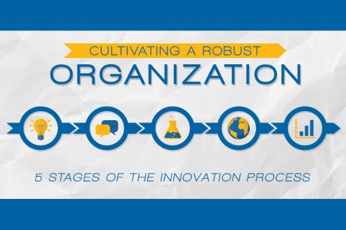 Cultivating a Robust Organization: 5 Stages of the Innovation Process